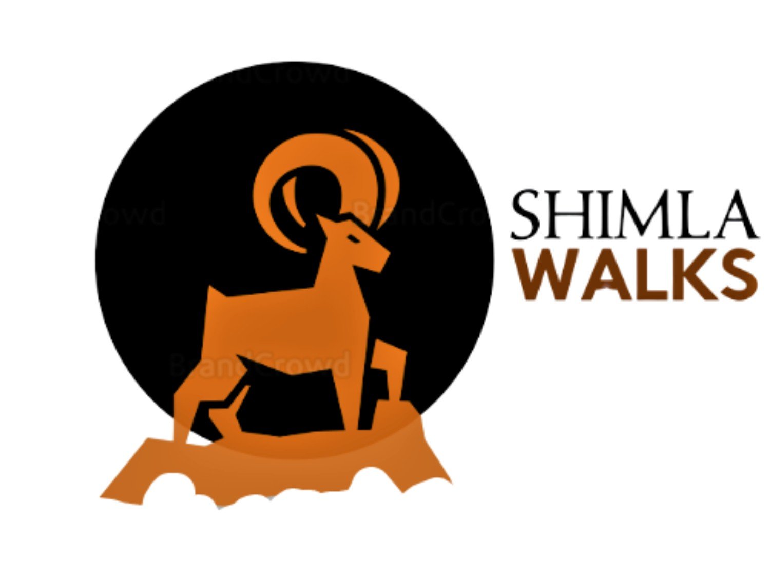 Contact Us • Shimla Walks